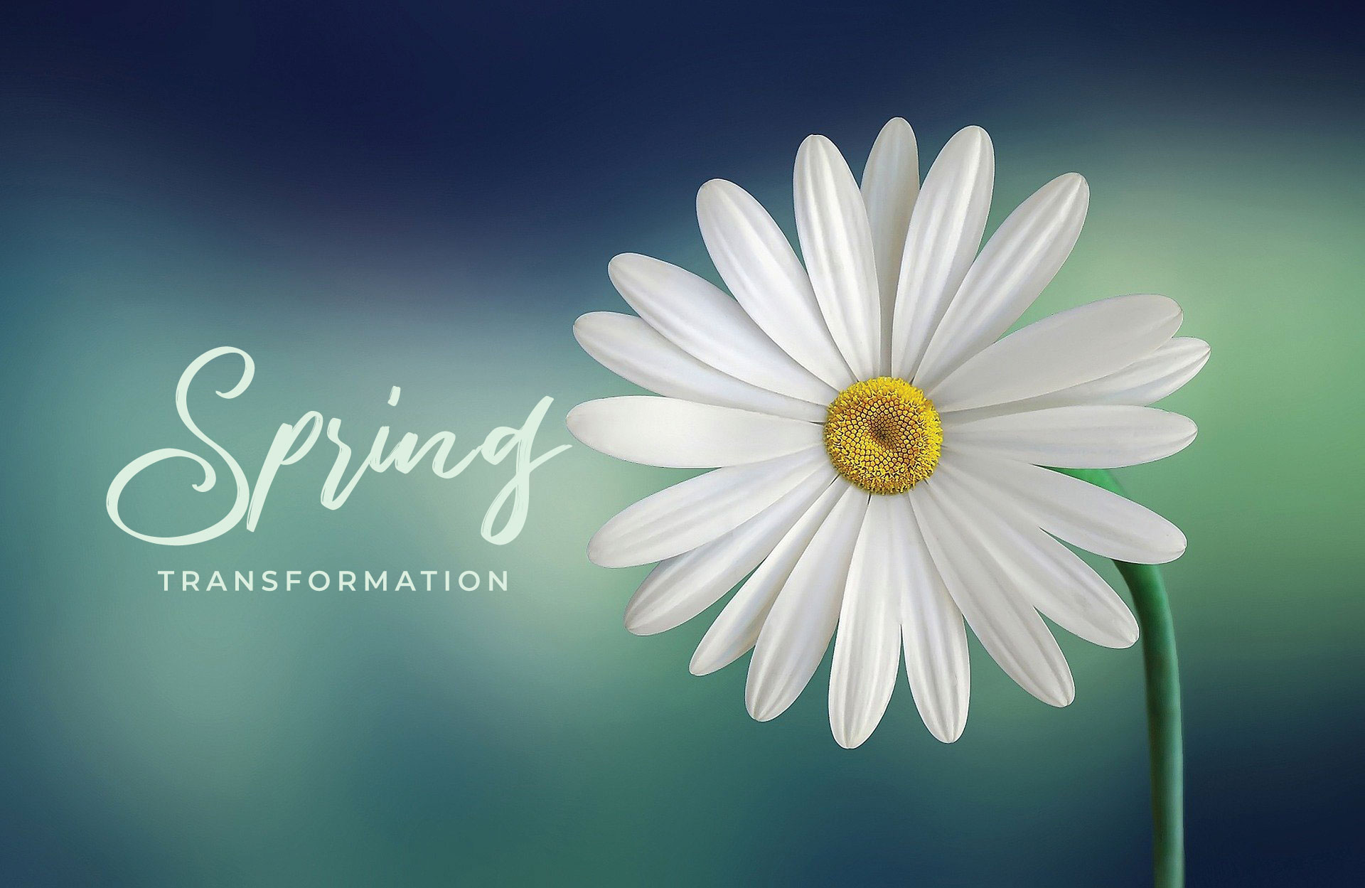 Fifth Chakra - Spring Transformation 2021 » Reiki Associates